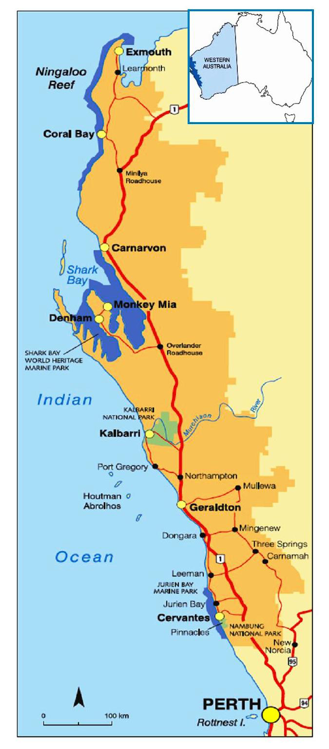 the next chapter: Australia: Camping up the Coral Coast