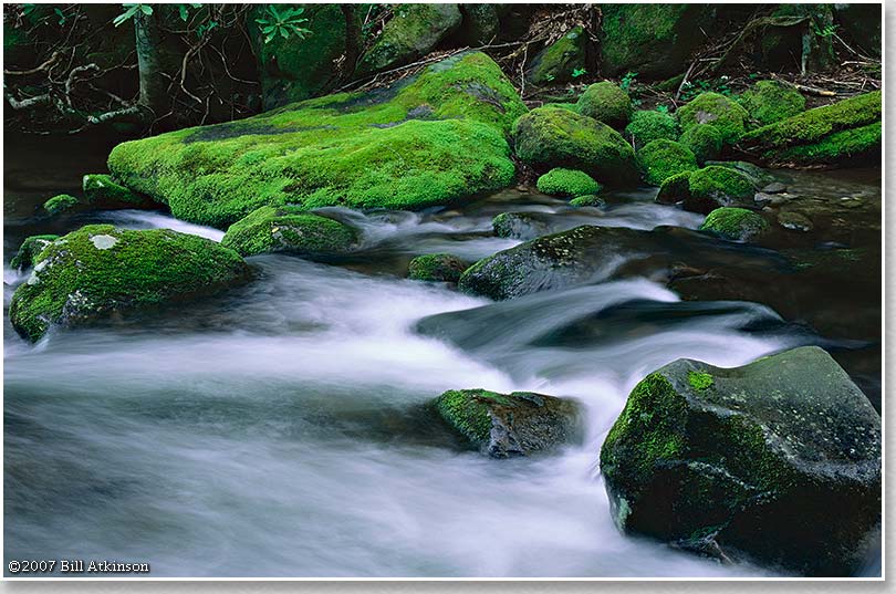 Bill Atkinson Photography