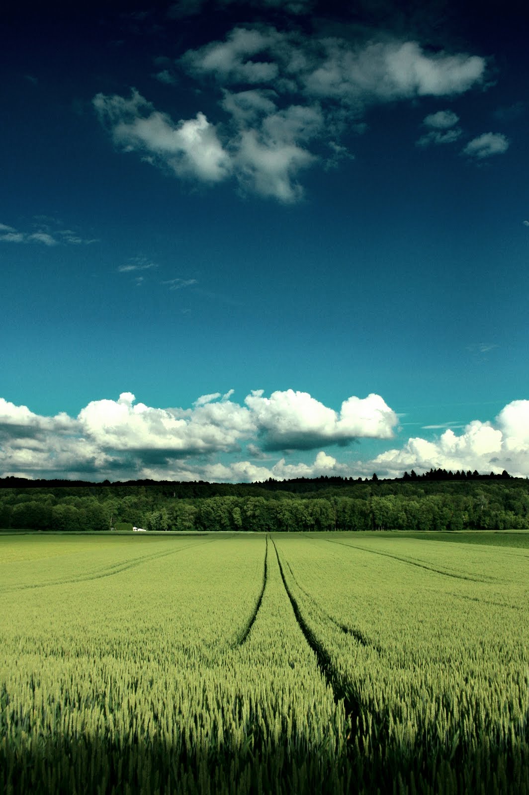 That's the Way I Like It: Vast Open Fields.