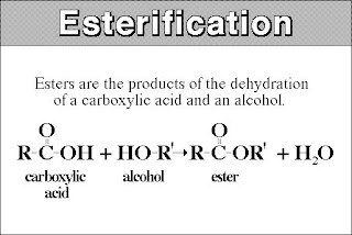 Esterification: Equation