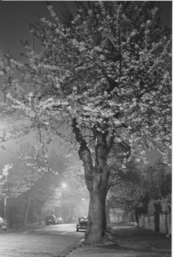 A Girl, A Blog & Life In-between!!!: On Raglan Road ...