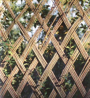 Regenerative Places: Living willow walls