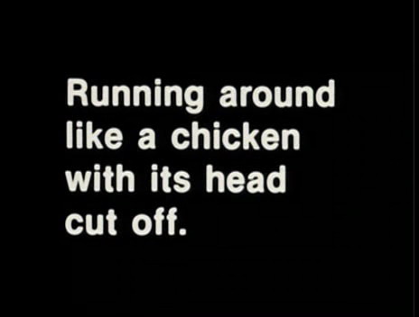 abraxas 365 dokumentarci: Running Around Like A Chicken With Its Head ...