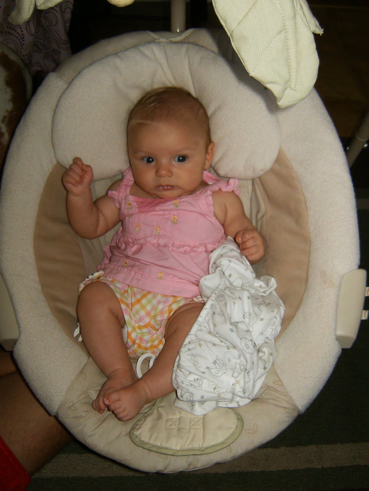 Birdie Girl and Baby Jack: Gabriella ~ 12 and 13 weeks old