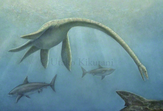 Futabasaurus Suzukii