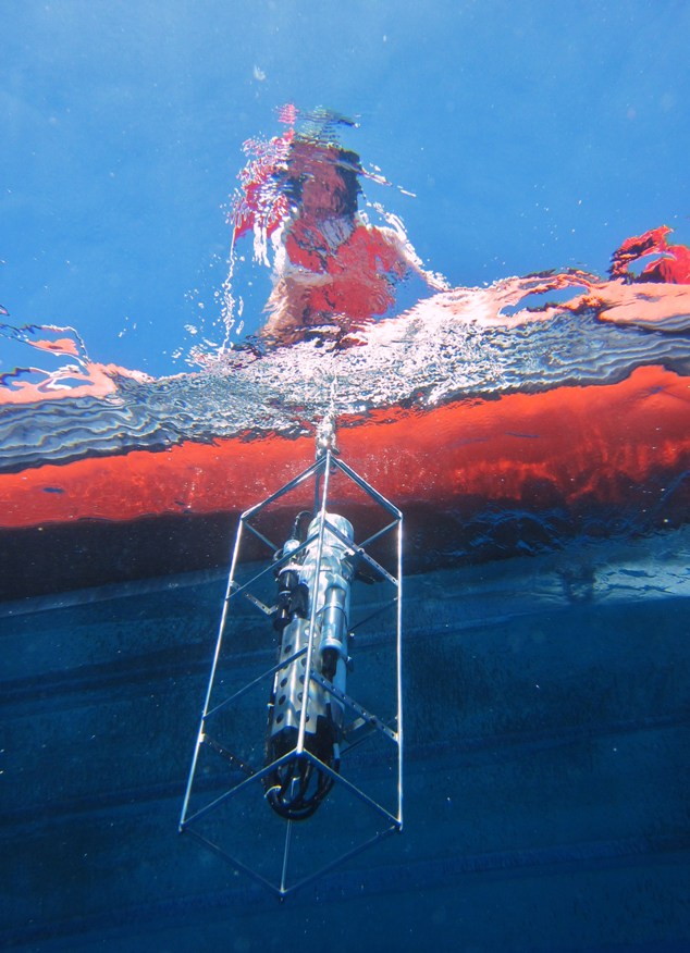 NOAA Coral Reef Ecosystem Division – Mission Blog: Coral Reef ...