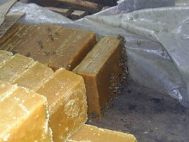 Chancaca Trade: Beneficios del consumo de CHANCACA