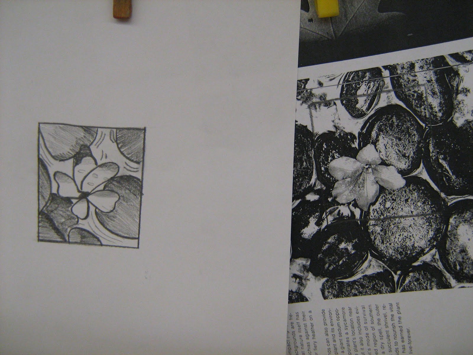 Mrs. Levine's Elementary Art Blog: Composition drawings
