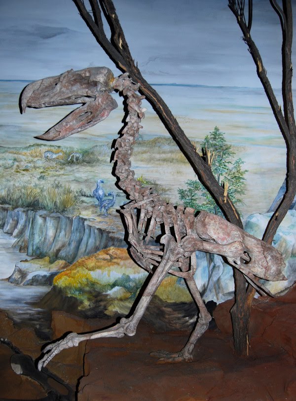 Paleontology Site: The Museum of Paleontology Egidio Feruglio, Argentina