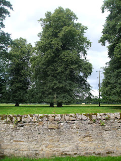 Photographs Of Newcastle: Bywell