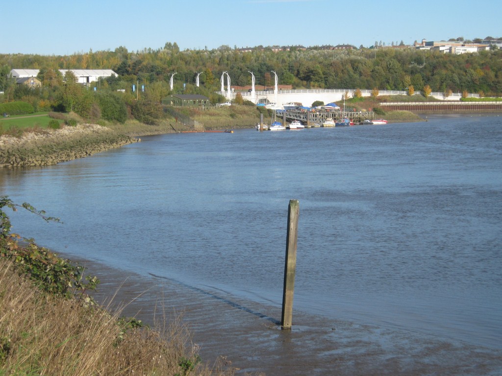 Photographs Of Newcastle: Newburn Haugh