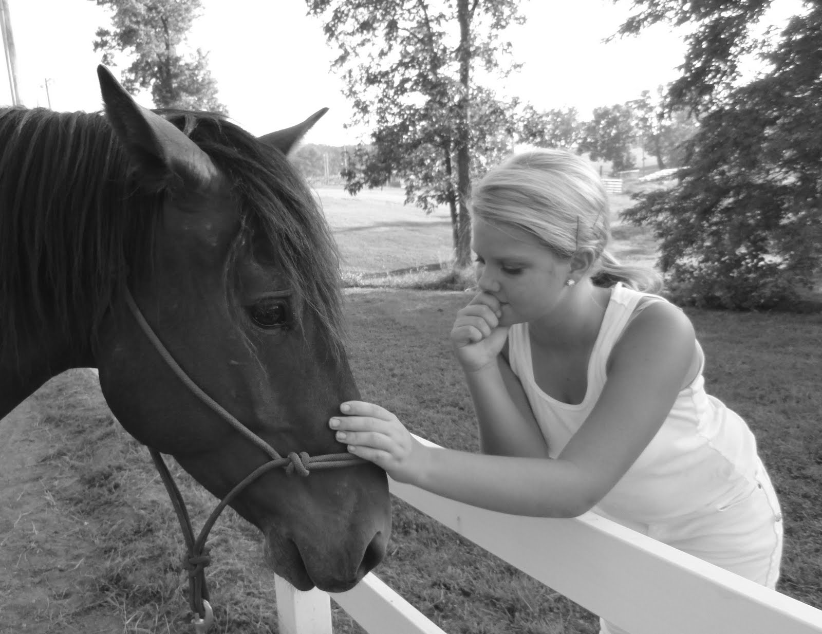 Mustang Dreams....: Boom goes to a horse show to see more horse/rider ...