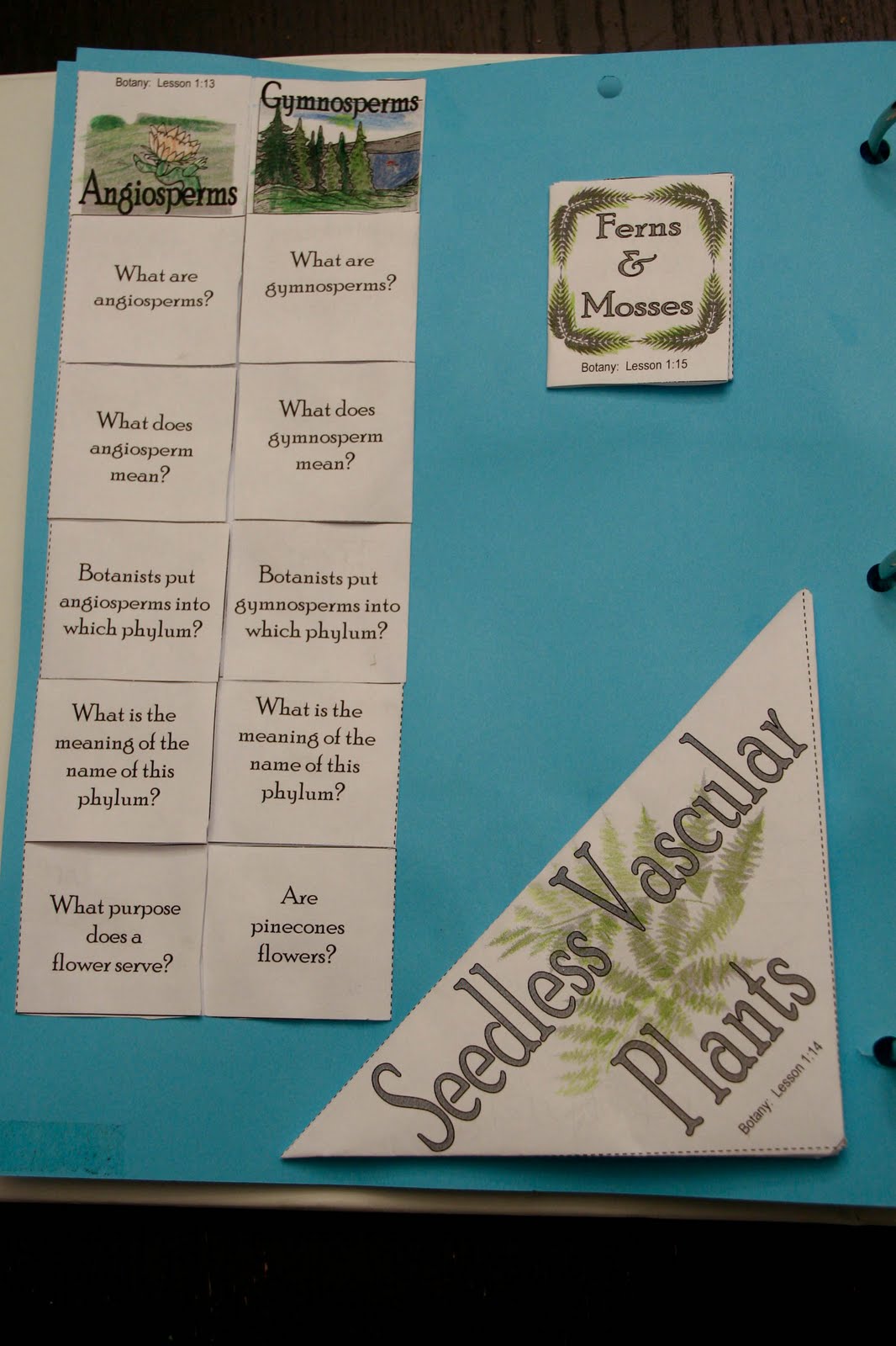 School Weeks 2-4 Part One