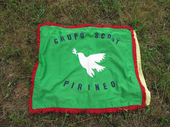 GRUPO SCOUT P I R I N E O S 4 4 0: ¿Por qué un campamento Scout?