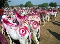 Gujarat Tourism: History of Vautha Fair