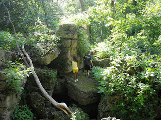 Every Shade of Green: Spelunking at Ledge Park