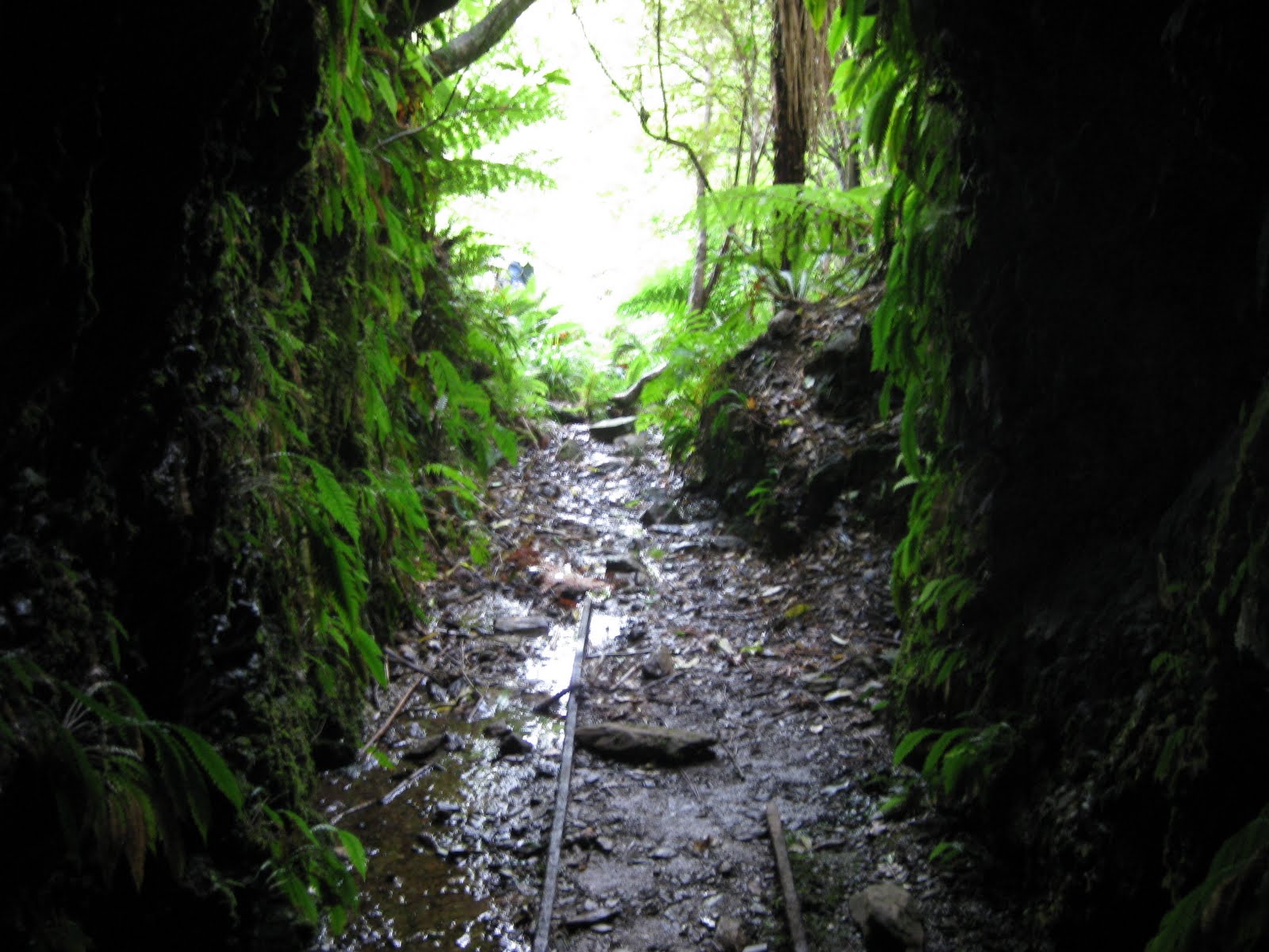 Endeavour Inlet History Blog: Mines, Adits , levels etc