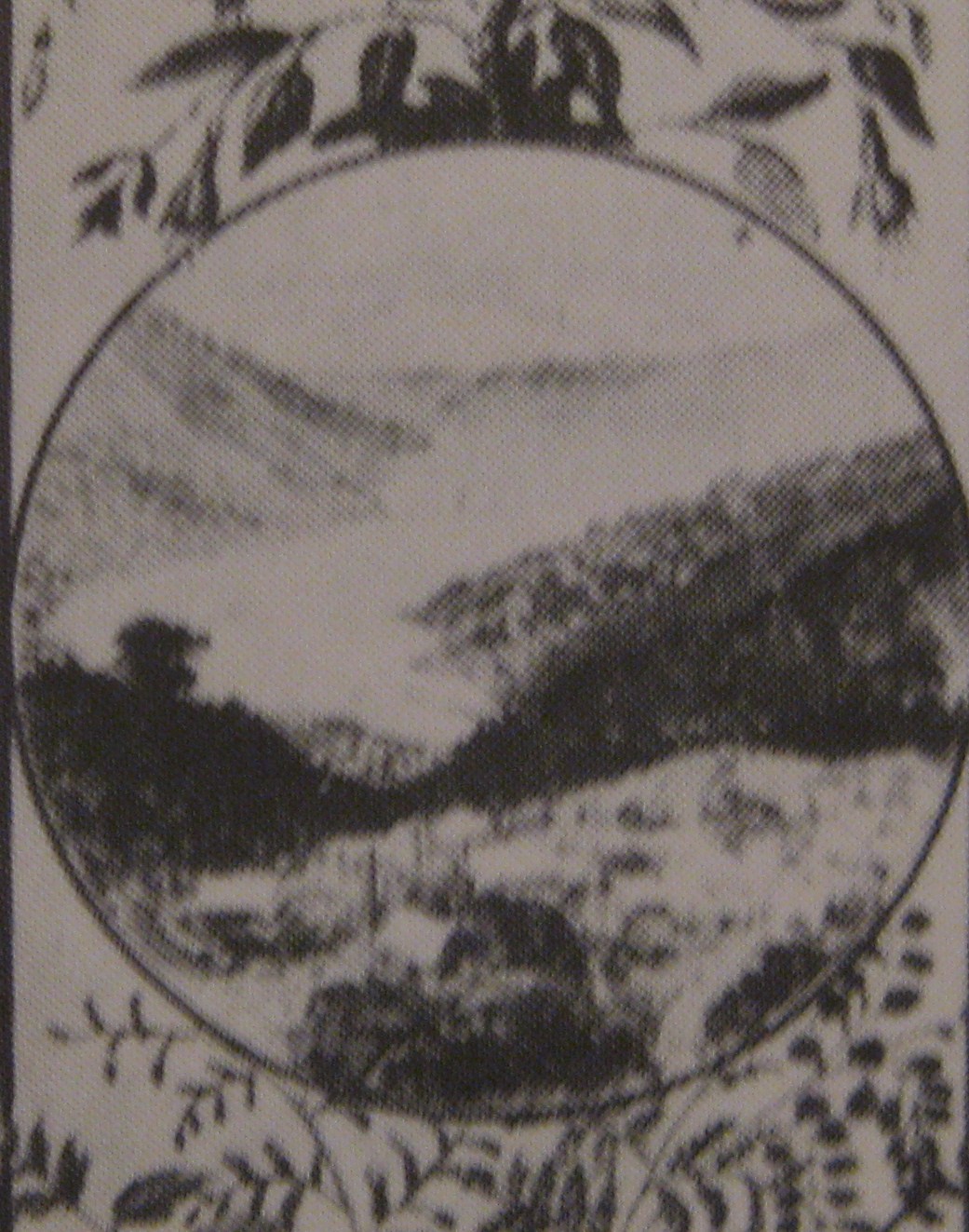 Endeavour Inlet History Blog: Timeline