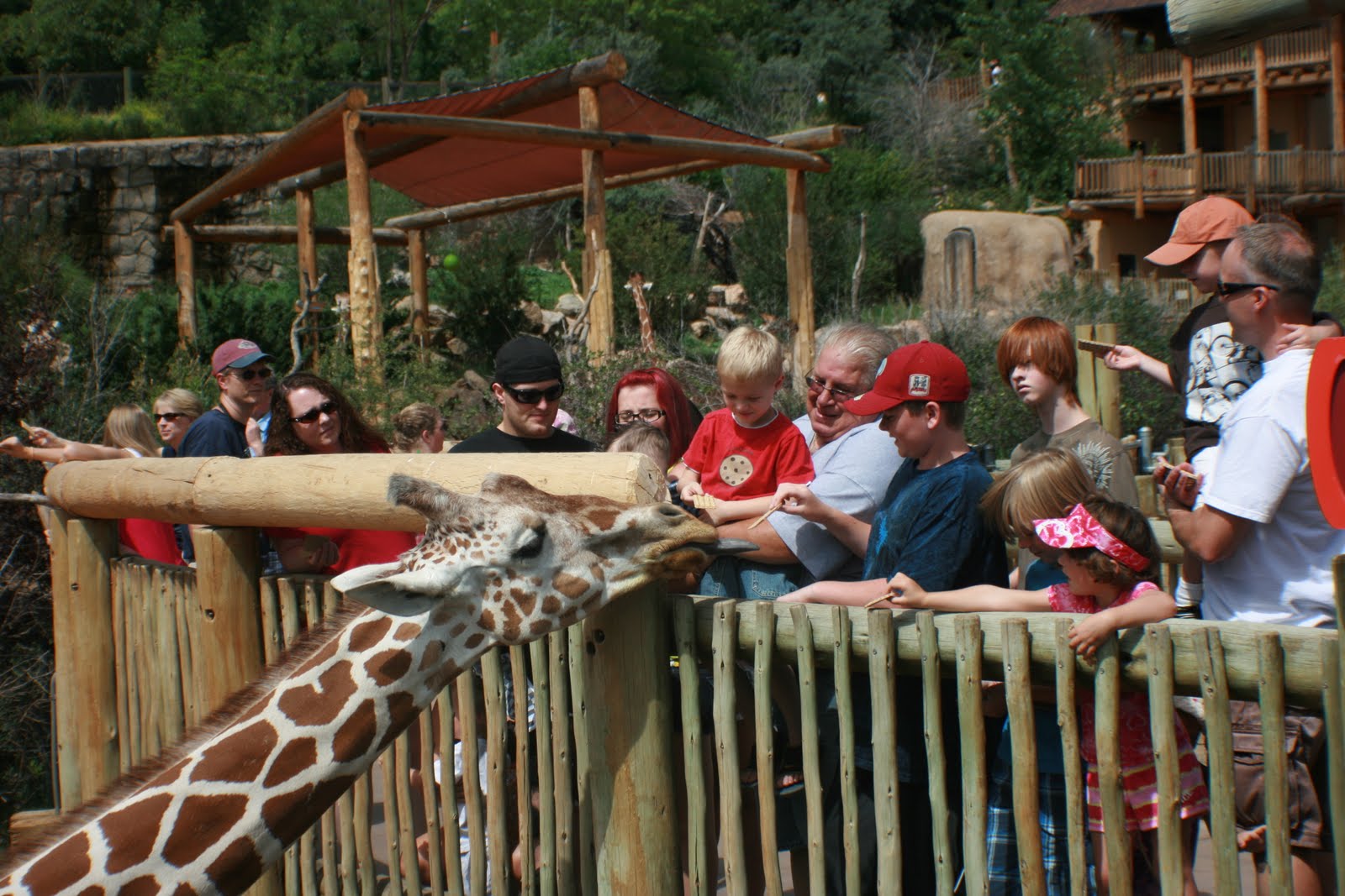 We do not remember days, we remember moments.: We're going to the zoo ...