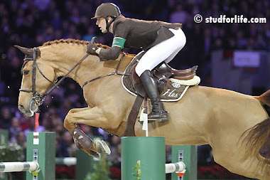 STALLIONS FOR LIFE: Sandro Boy plans to say goodbye