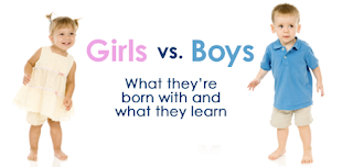 Boys & Girls Learn Differently: Idea Illustrator