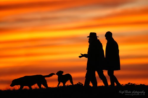 Nigel Blake nature photography: Shorter days