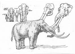 extinct creatures: Stegodon