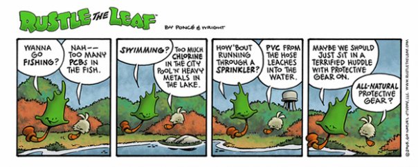 Rustle the Leaf- A Blog With a Mission to Share