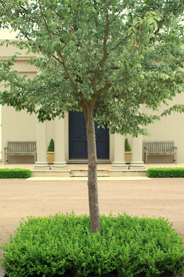 Brabourne Farm: Front Door and Silver Elm Tree