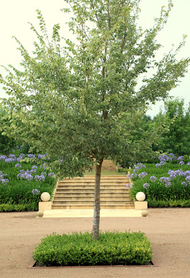 Brabourne Farm: Front Door and Silver Elm Tree