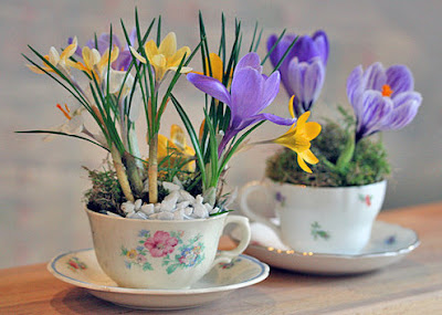 Brabourne Farm: Love .... Tea Cups