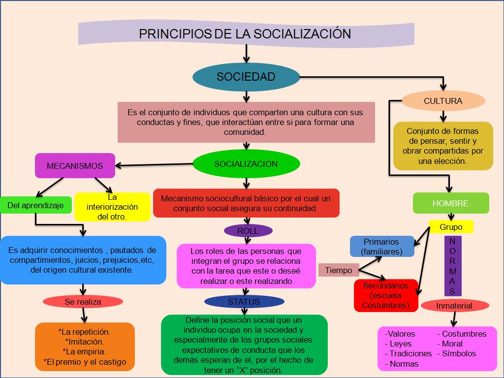 DINÁMICA SOCIAL: PRINCIPIOS DE LA SOCIALIZACIÓN