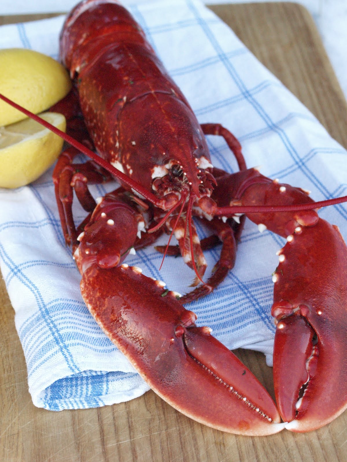 [kjøkkentjeneste]: Hvordan koke hummer og litt om nye juletradisjoner