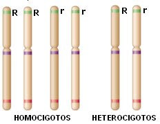 LA MASACRE DE GENES: .:.:.:GENETICA.:.:.:.