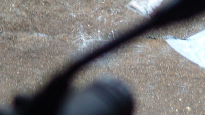 A VISUAL TREAT: Spattering