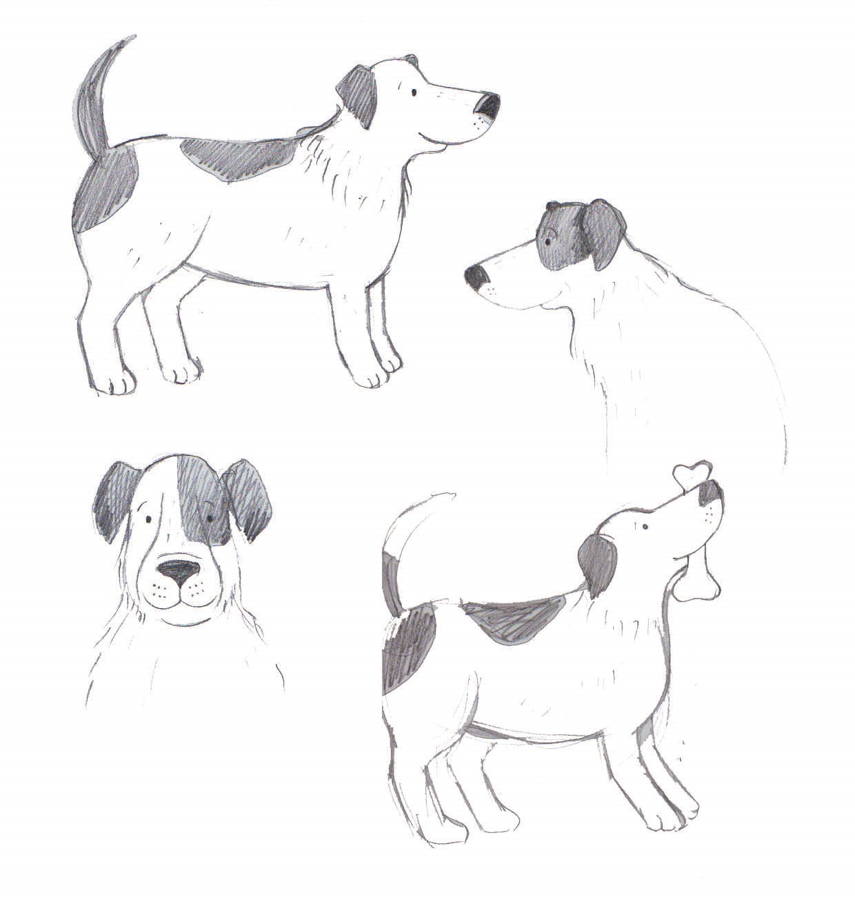 Lucy Boden Illustration: Dog doodles!
