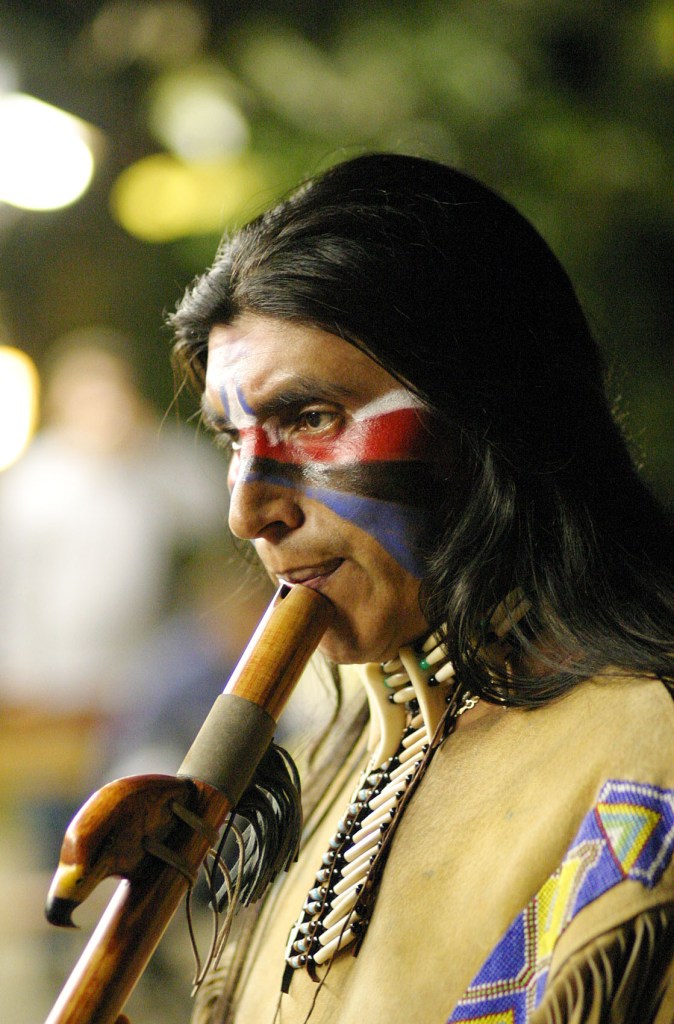 Culturas de la Tierra: Los mapuches: La Gente de la Tierra