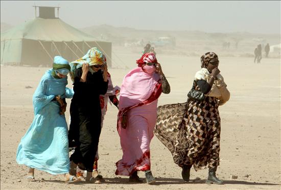 Culturas de la Tierra: El Pueblo Saharaui