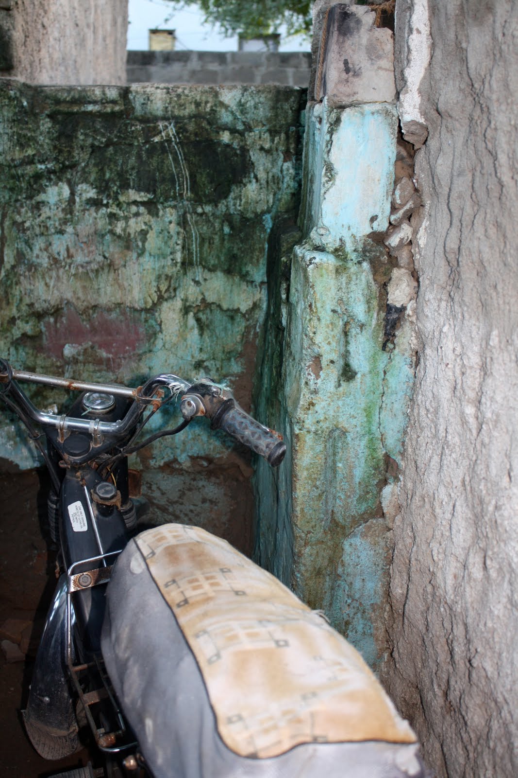 Amy Goodwin Illustration