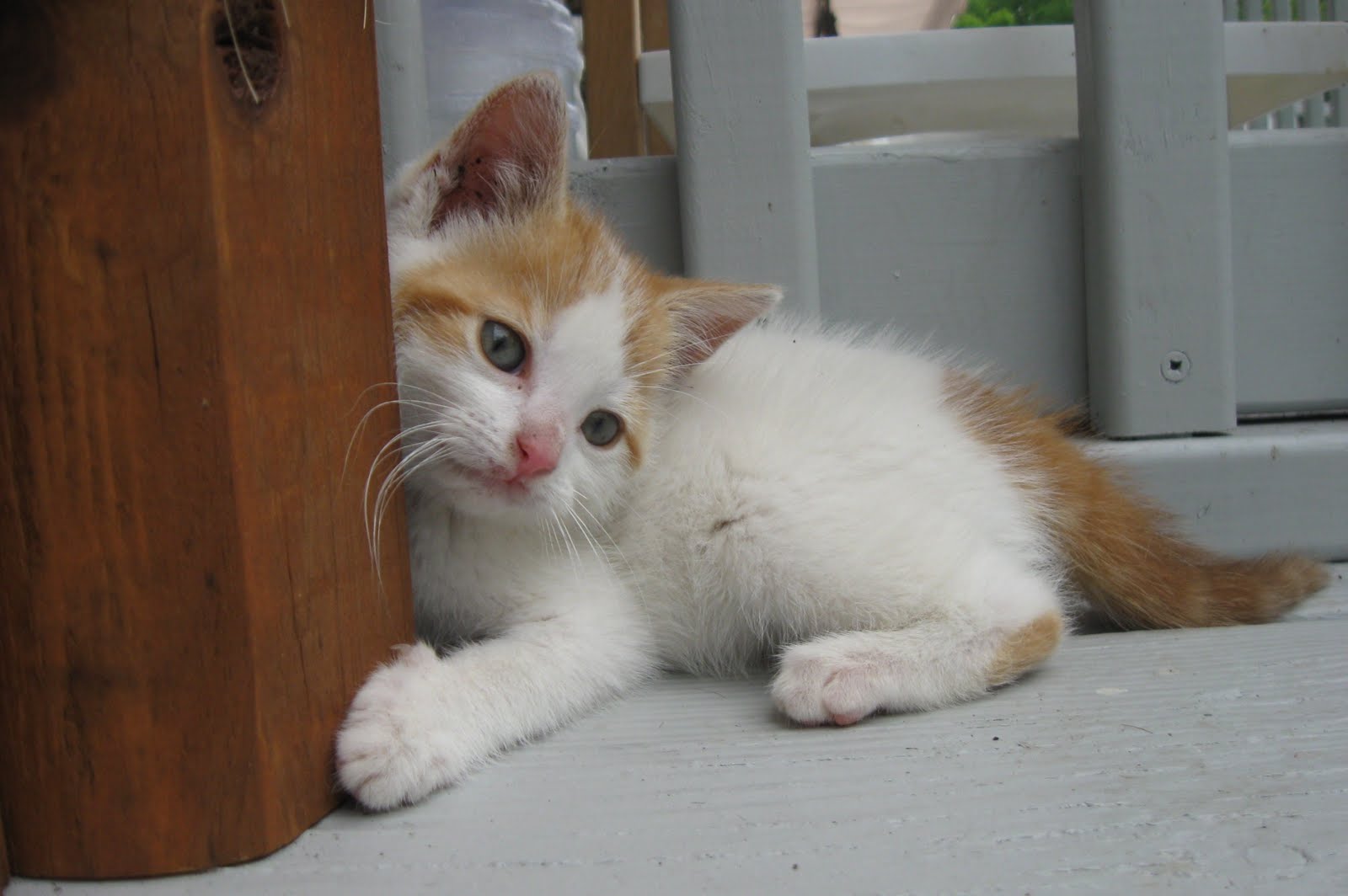 I Painted My Fridge Red