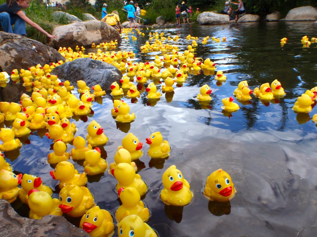 The Herold Family: The Rubber Duck Race