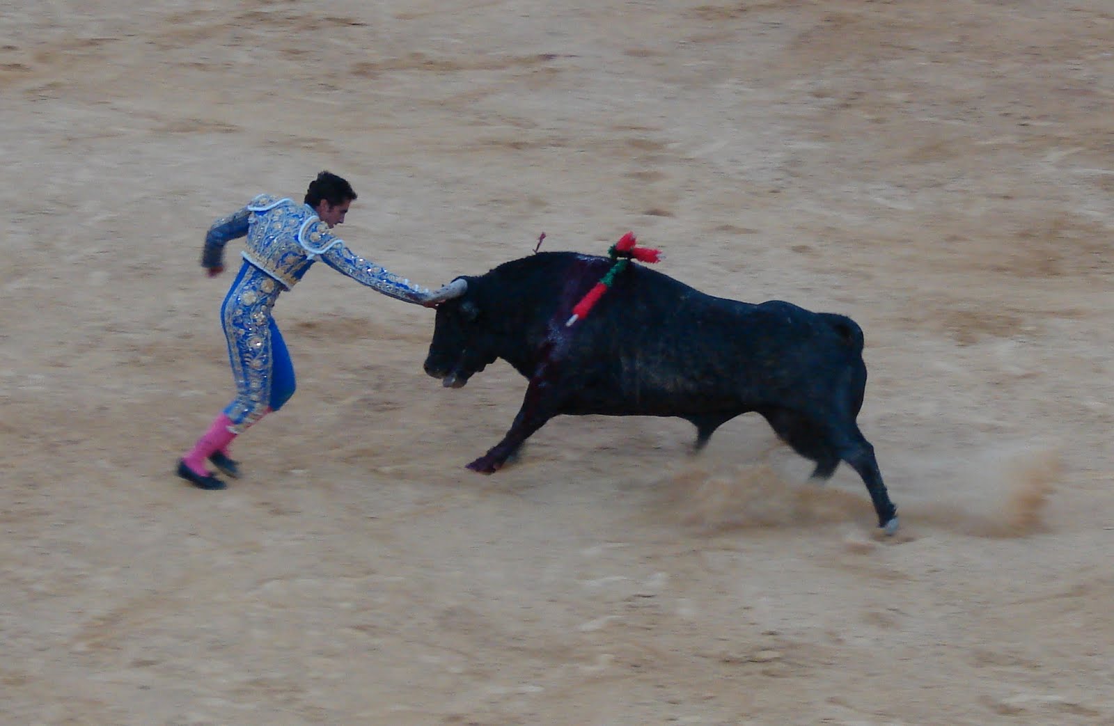 GranaToro - noticias taurinas de granada: Buena actuación de 'El Fandi ...