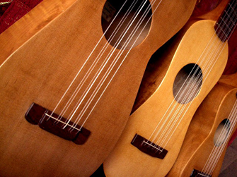 Instrumentos Jarochos