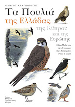 Εικονες Φυσης - Πολης