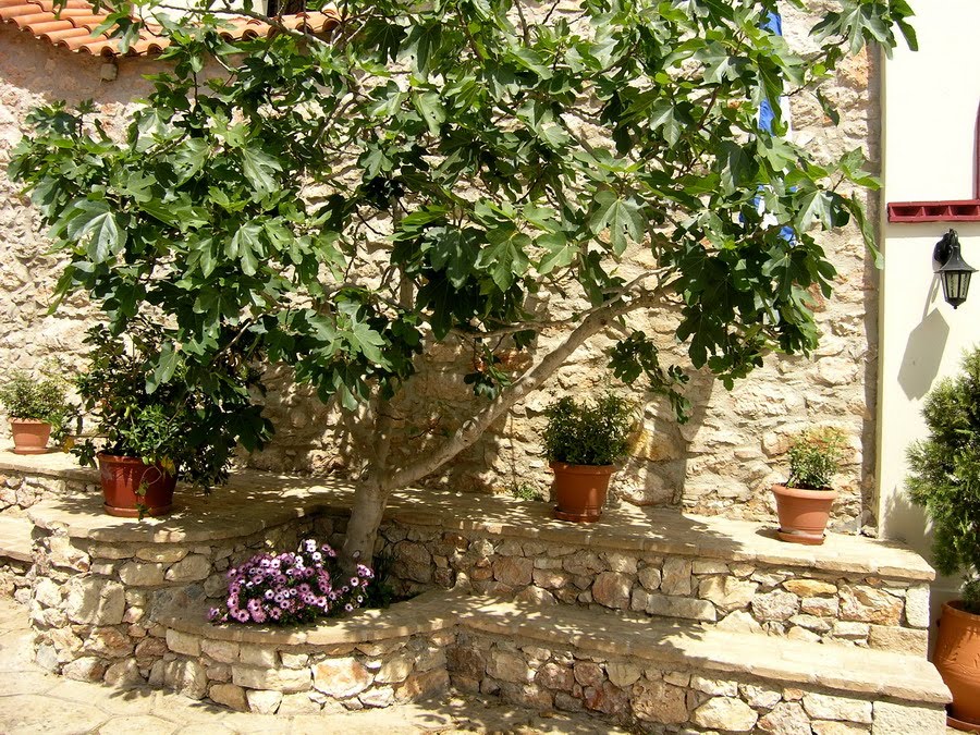 ΤΑΞΙΔΙΑ ΜΕ ΕΝΑΝ ΕΥΡΥΓΩΝΙΟ: ΜΟΝΗ ΚΛΕΙΣΤΩΝ