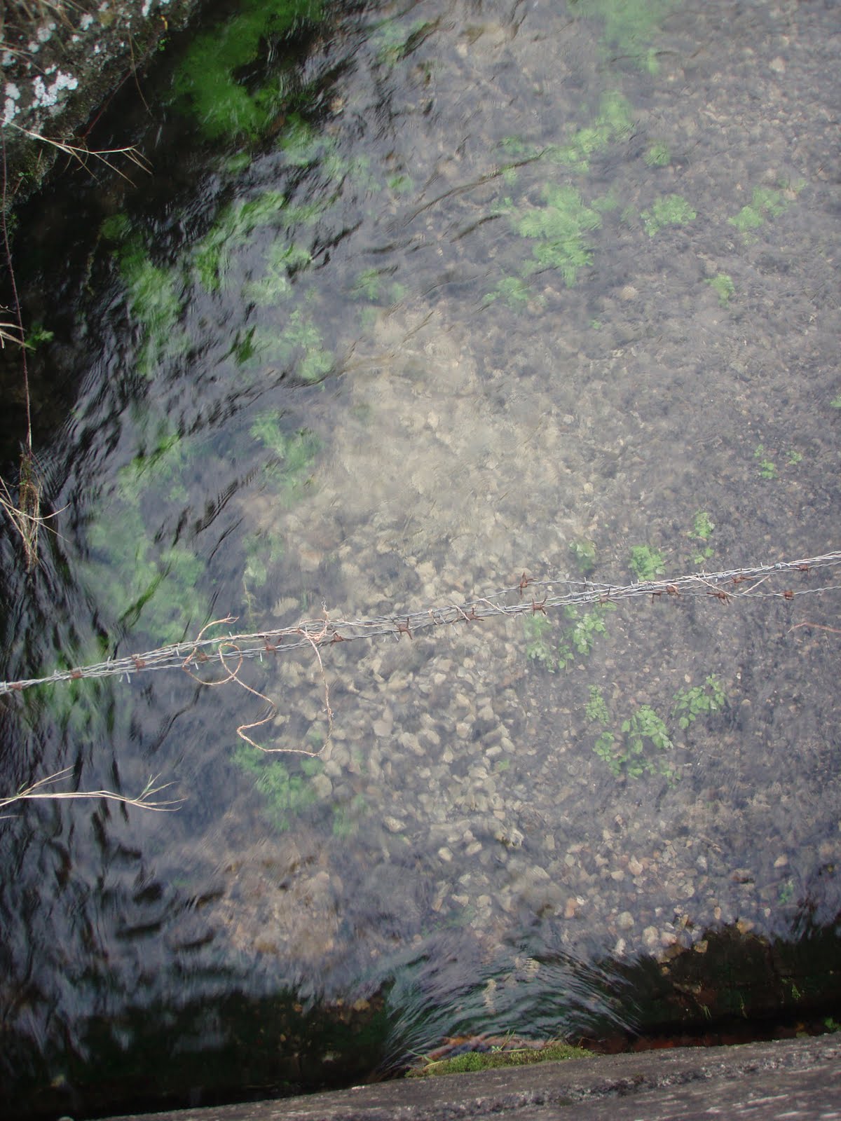 Highlighting trout spawning and what to avoid when wading in winter ...