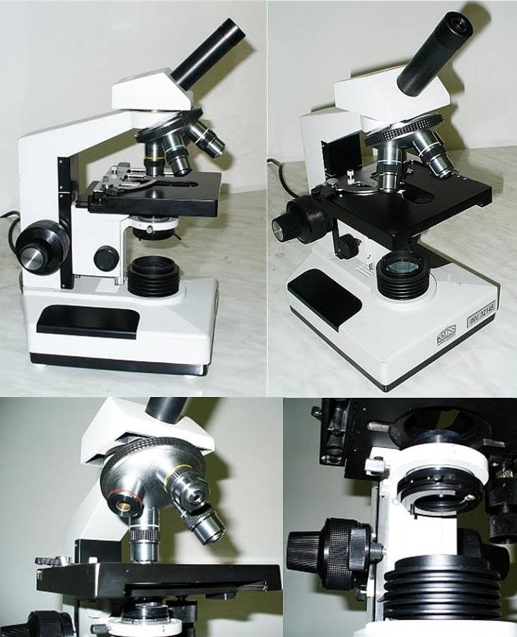 Sains Gunaan