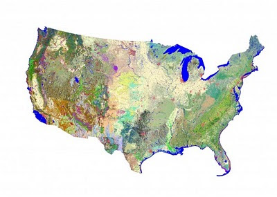 Endangered New Jersey: June 2010