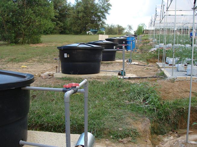 AGRiCuLTuRe - HoRTiCuLTuRe: Fertigation System