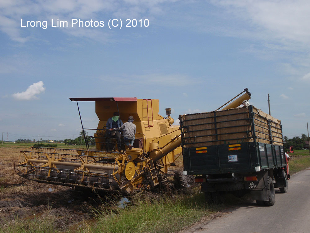 Kedahan-Malaysian @ Japan: Paddy harvesting and tractors in the fields...